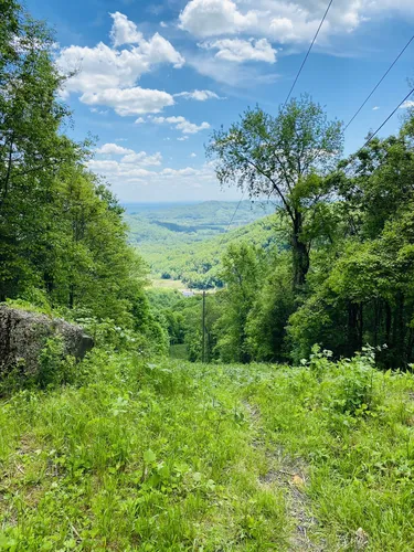 10 Best Hikes and Trails in Frozen Head State Park | AllTrails