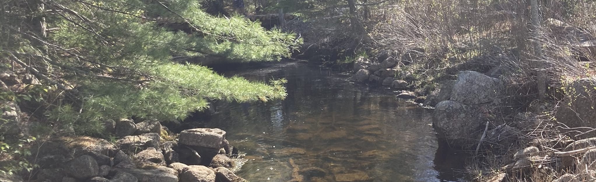 Hammond's Plains Trail, Nova Scotia, Canada - 9 Reviews, Map | AllTrails