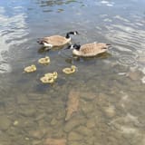 D&L Trail: Slatington - Jim Thorpe, Pennsylvania - 164 Reviews, Map ...