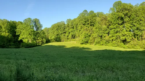 Best 10 Hiking Trails in Cromwell Valley Park | AllTrails