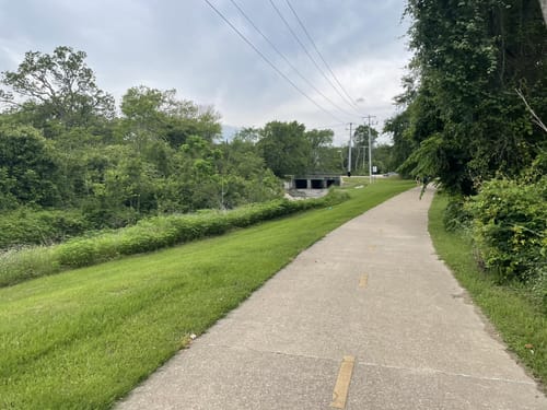 Best Hikes and Trails in Bee Creek Park | AllTrails