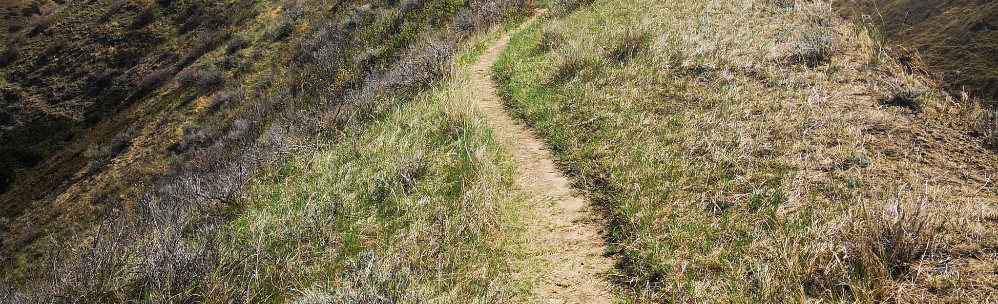 Pavan Park River Loop, Alberta, Canada - 7 Reviews, Map | AllTrails