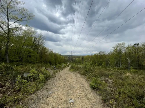 Best Hikes and Trails in State Game Lands Number 141 | AllTrails