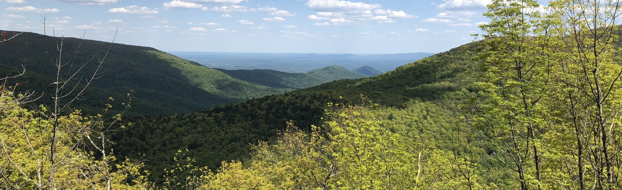 Ivy Creek via Appalachian Trail: 154 Reviews, Map - Virginia | AllTrails
