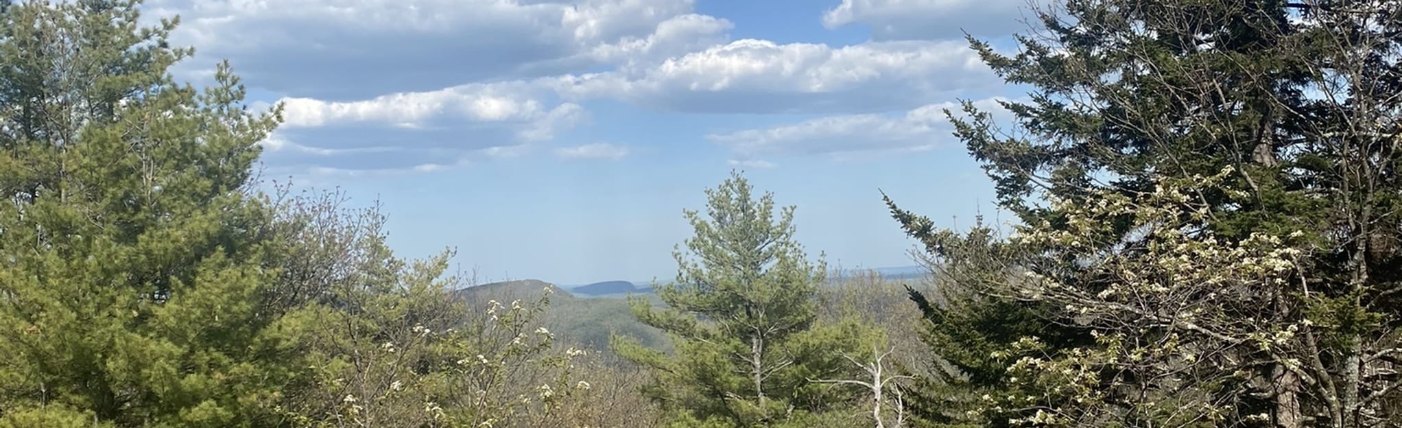 North Pack Monadnock Mountain via Wapack Trail: 1025 Reviews, Map - New ...