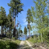 Divide Lake Trail, British Columbia, Canada - 90 Reviews, Map | AllTrails