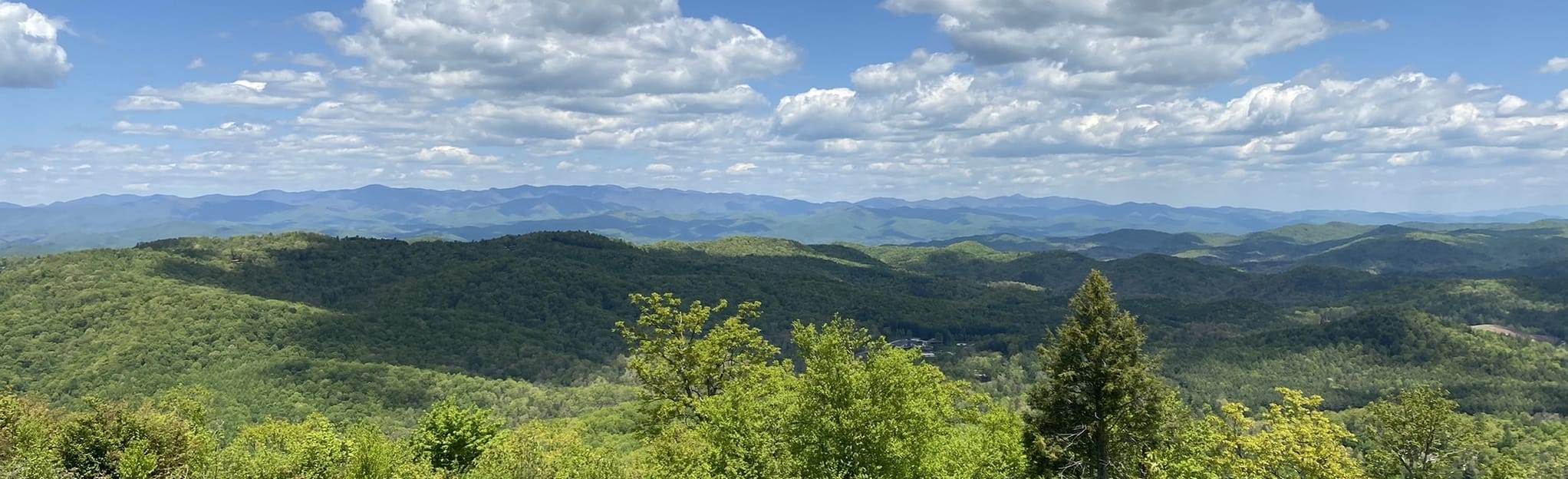 Sassafras Mountain Observation Tower Walk, North Carolina - 133 Reviews ...