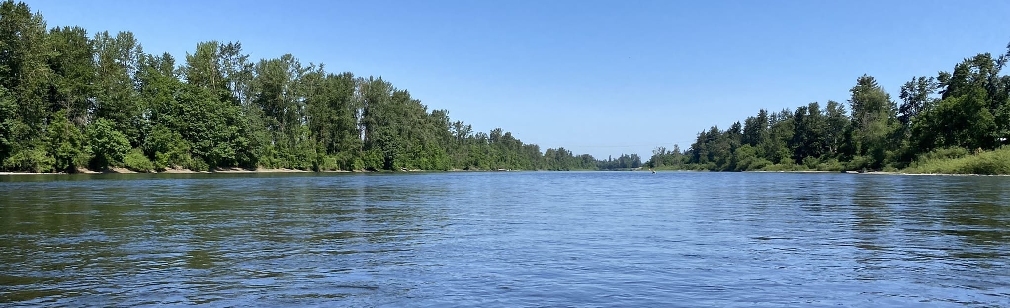 AllTrails | Willamette River Water Trail: Salem to Wheatland Ferry: 10 Reviews, Map - Oregon