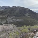 Flat Top Mountain, Utah - 61 Reviews, Map | AllTrails