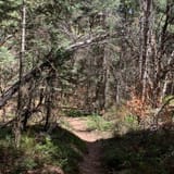 Maple Canyon Loop Trail , Utah - 147 Reviews, Map | AllTrails