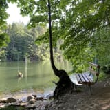 Colliery Dam Loop, British Columbia, Canada - 314 Reviews, Map | AllTrails