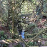 Colliery Dam Loop, British Columbia, Canada - 314 Reviews, Map | AllTrails