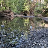 Colliery Dam Loop, British Columbia, Canada - 314 Reviews, Map | AllTrails