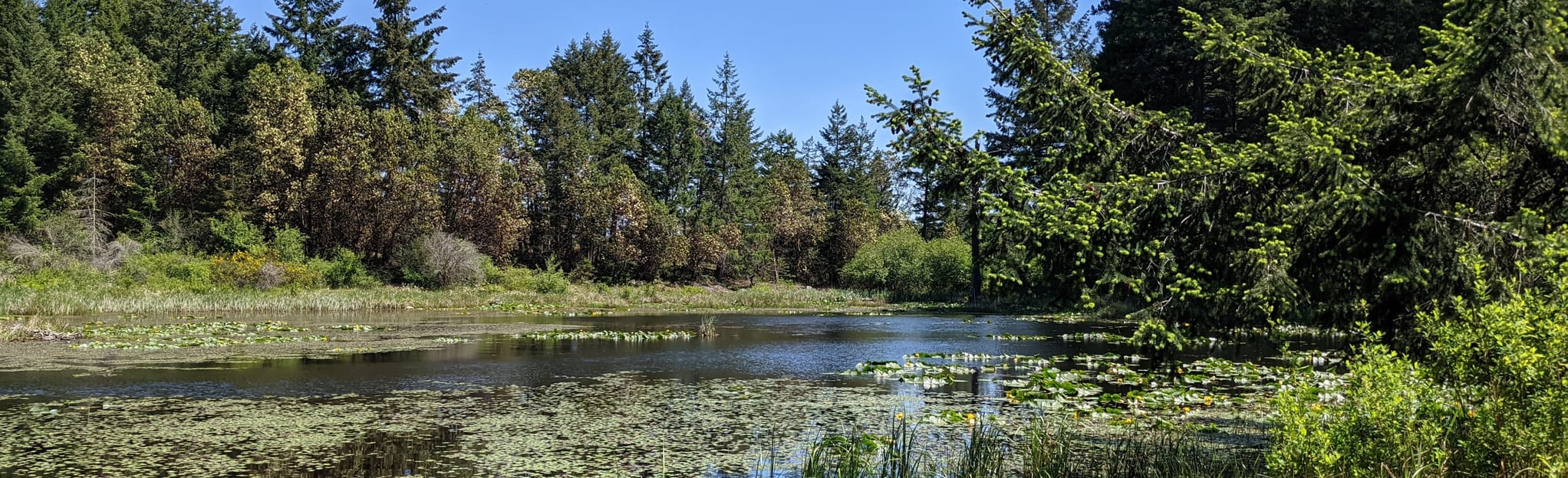 Enos Lake: 608 Reviews, Map - British Columbia, Canada | AllTrails