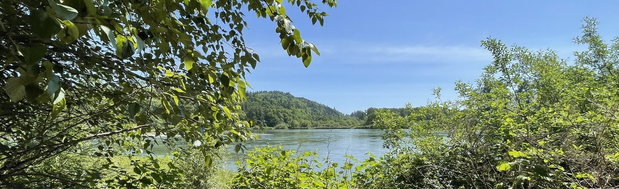 Snohomish River and Shadow Lake Trail - Washington | AllTrails
