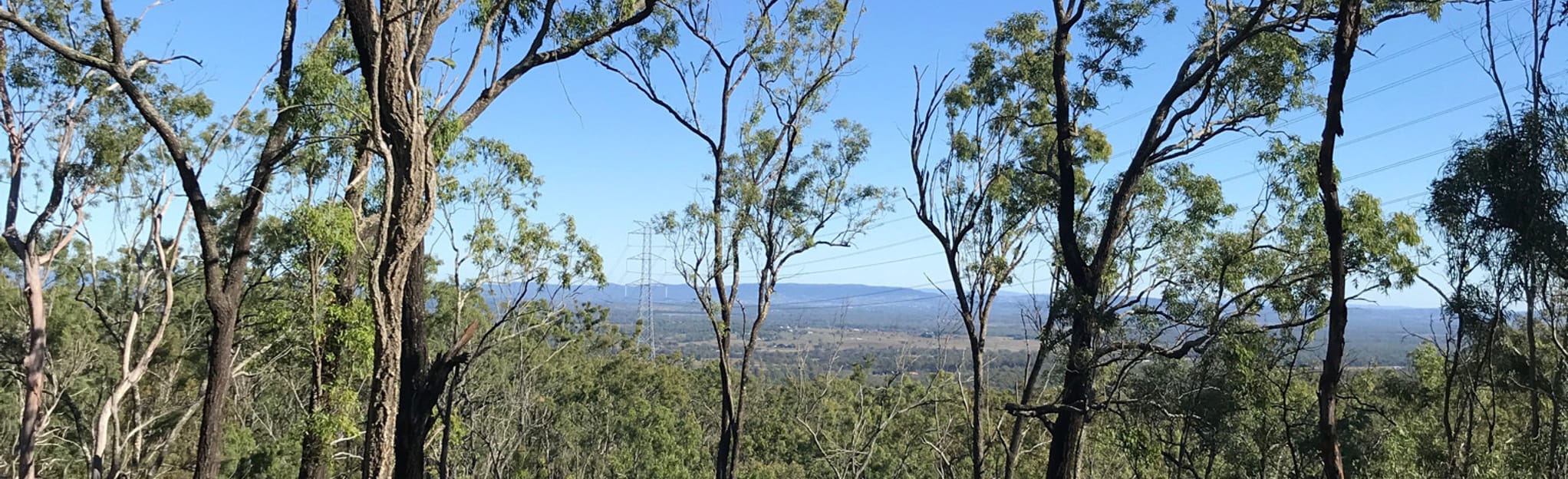 Harding's Paddock and Goolman Lookout Loop, Queensland, Australia - 147 ...