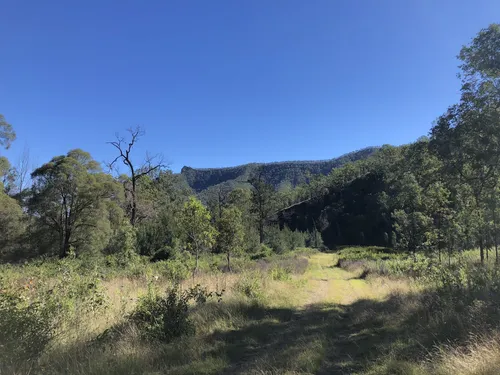 Best Hikes and Trails in Glen Rock State Forest | AllTrails