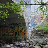 Colliery Dam Loop, British Columbia, Canada - 314 Reviews, Map | AllTrails