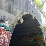 Colliery Dam Loop, British Columbia, Canada - 314 Reviews, Map | AllTrails