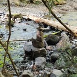 Colliery Dam Loop, British Columbia, Canada - 314 Reviews, Map | AllTrails