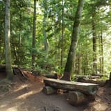 Colliery Dam Loop, British Columbia, Canada - 314 Reviews, Map | AllTrails