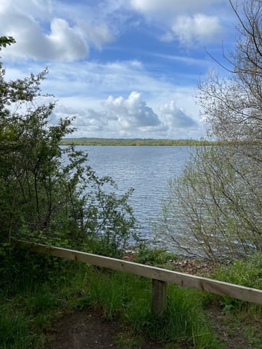 Best Hikes and Trails in Marston Vale Millennium Country Park | AllTrails