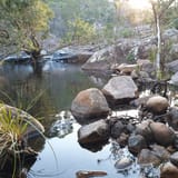 Waterfall Creek and Utopia Falls Track, Queensland, Australia - 64 ...