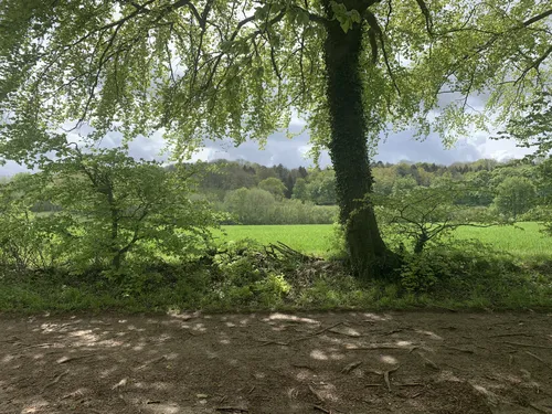 10 Best Trails and Hikes in Hitchin | AllTrails