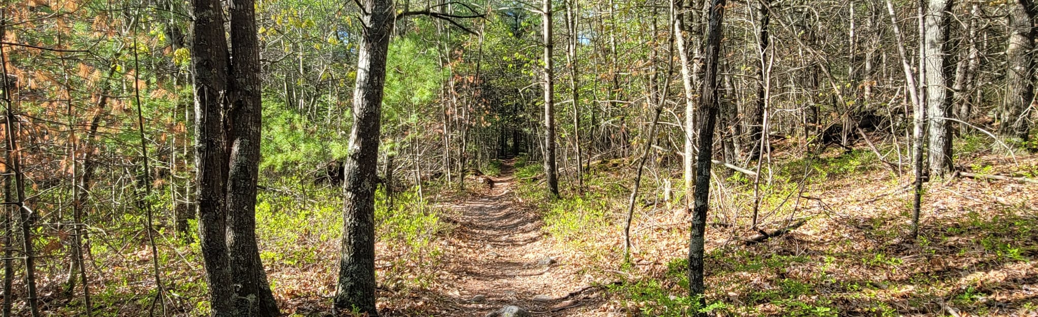 Fall River and Copicut Wildlife Loop, Massachusetts - 88 Reviews, Map ...