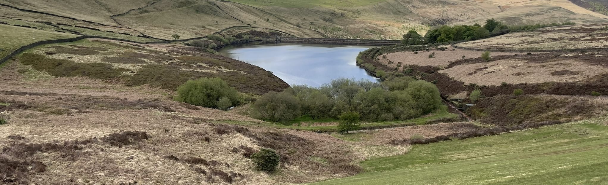Arnfield Reservoir, Wild Bank and Higher Swineshaw Reservoir: 604 foto ...