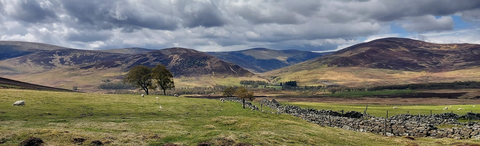 Tarfside and Hill of Rowan Circular, Angus, Scotland - 8 Reviews, Map ...