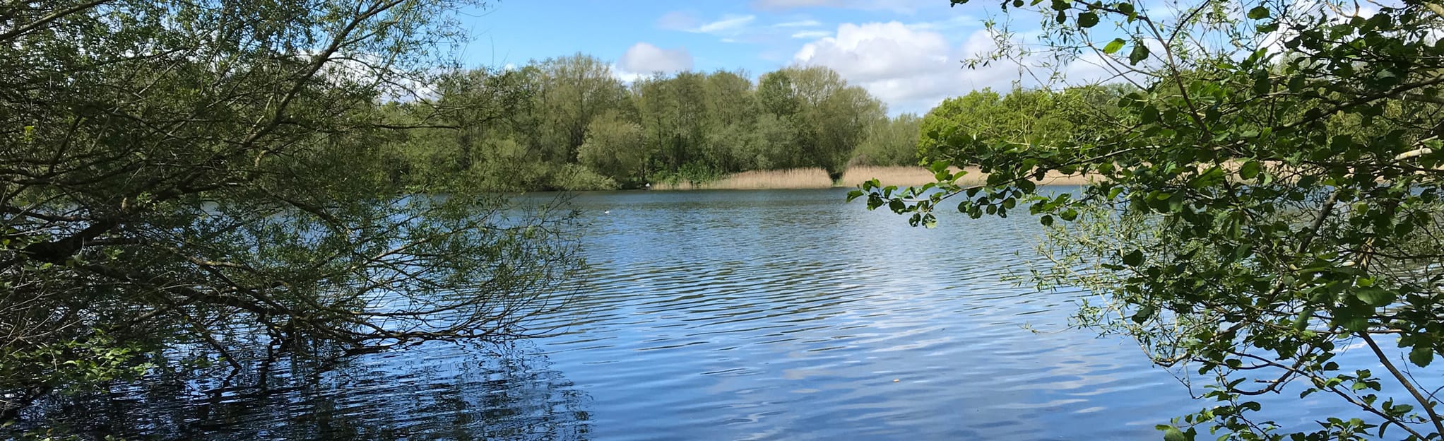 Dinton Pastures Circular , Berkshire, England - 27 Reviews, Map | AllTrails
