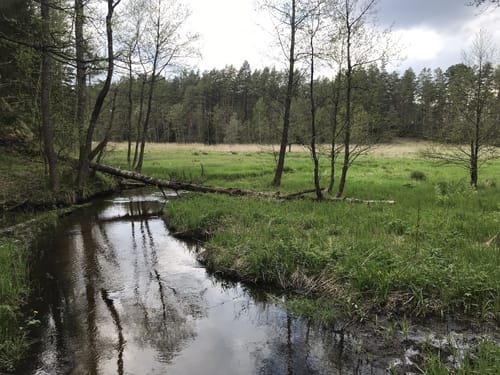 Best national parks in Lithuania | AllTrails