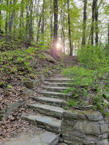 10 Best Hikes and Trails in South Chagrin Reservation | AllTrails