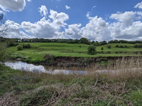 Best Hikes and Trails in Sankey Valley Park | AllTrails