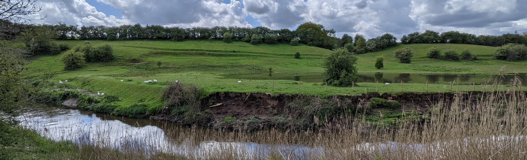 Sankey Valley Greenway, Cheshire, England - 128 Reviews, Map | AllTrails