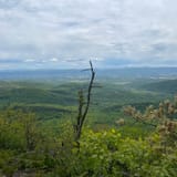 Perry Valley Loop Trail, West Virginia - 128 Reviews, Map | AllTrails