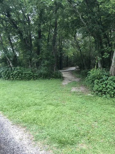 Best Hikes and Trails in Gene Green Beltway 8 Park | AllTrails