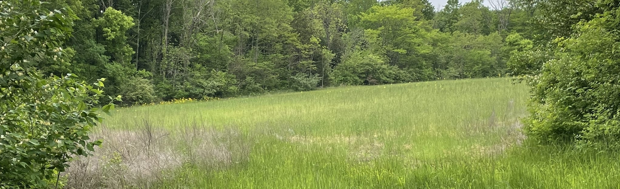 Busch Wildlife Biking-Hiking Trail: 530 Reviews, Map - Missouri | AllTrails