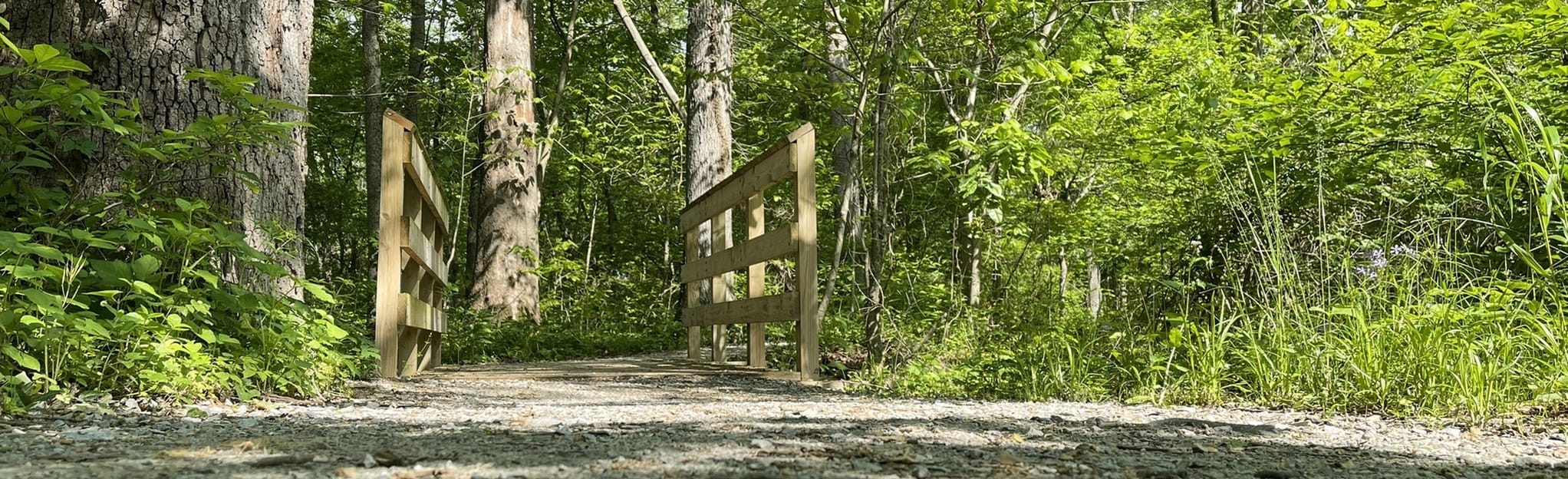 Woodland Spur Trail, Illinois - 21 Reviews, Map | AllTrails