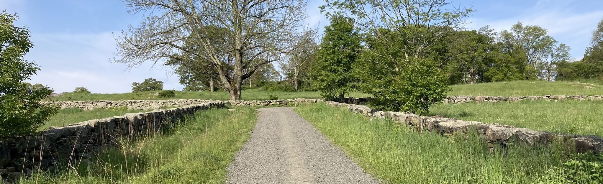 Stone Barns Farm Loop, New York - 171 Reviews, Map | AllTrails