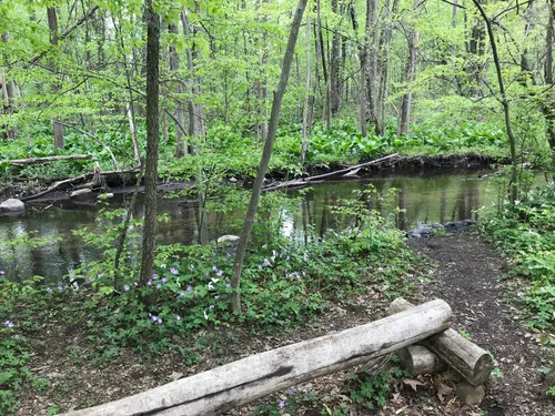 Best Hikes and Trails in Jackson | AllTrails