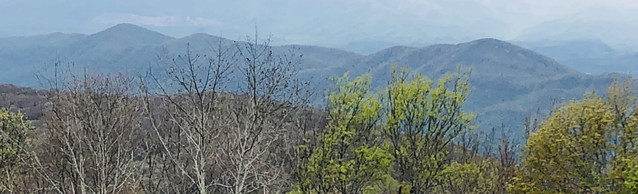 High Knob Tower - Virginia#N# | AllTrails