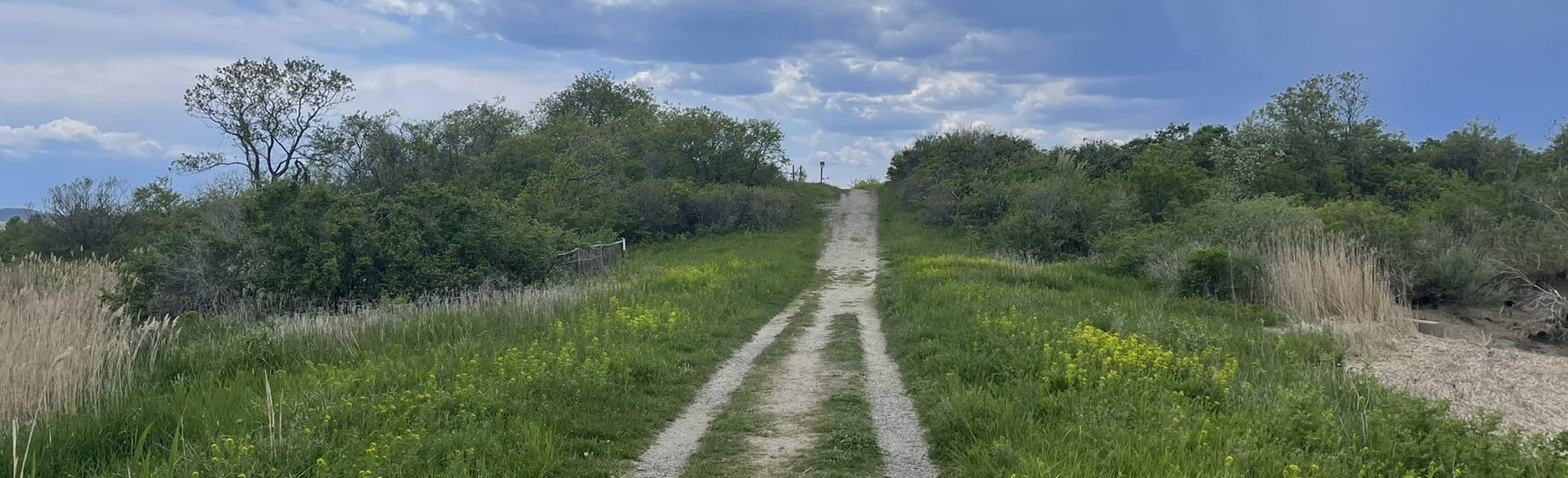 Sandy Point State Reservation: 157 Reviews, Map - Massachusetts | AllTrails