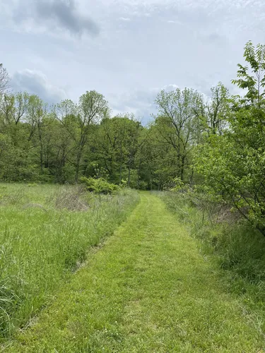 Best Hikes and Trails in Fort Crowder Conservation Area | AllTrails