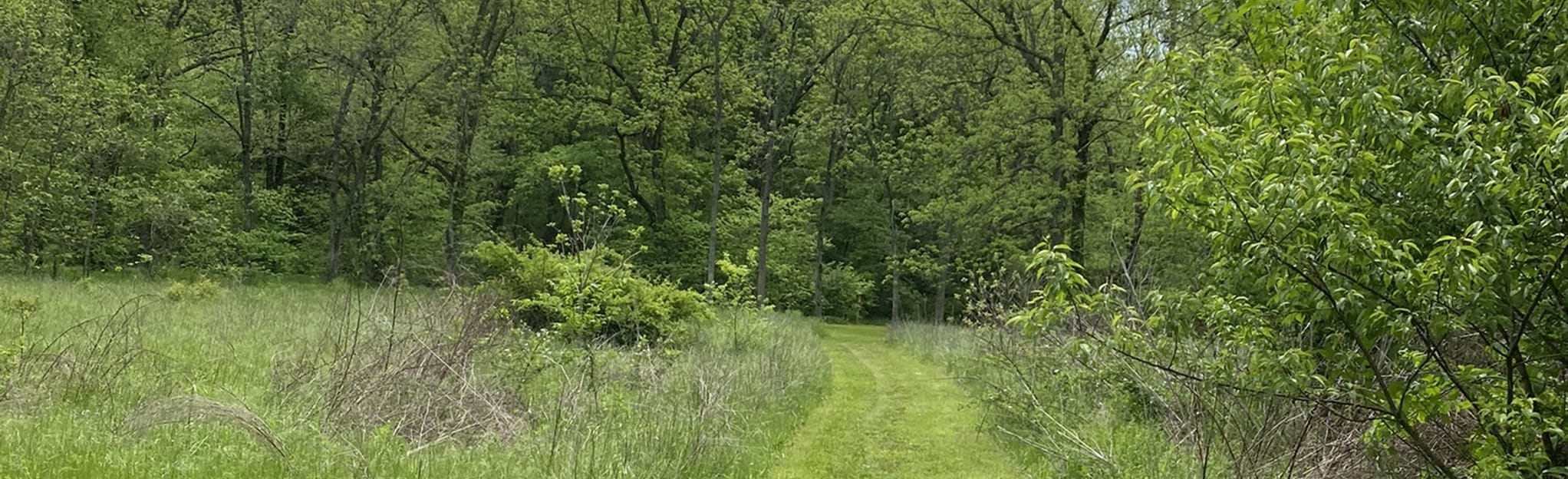 Gibson Spring Loop, Missouri - 35 Reviews, Map | AllTrails