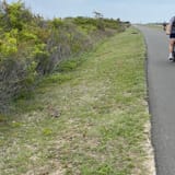 Ocean Parkway Path to Jones Beach Bike Path, New York - 679 Reviews ...