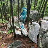 Pinhoti Trail: Adam's Gap to Cheaha State Park, Alabama - 133 Reviews ...