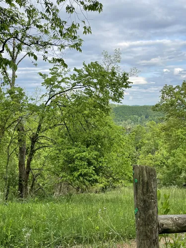 10 Best Hikes and Trails in Barboursville City Park | AllTrails