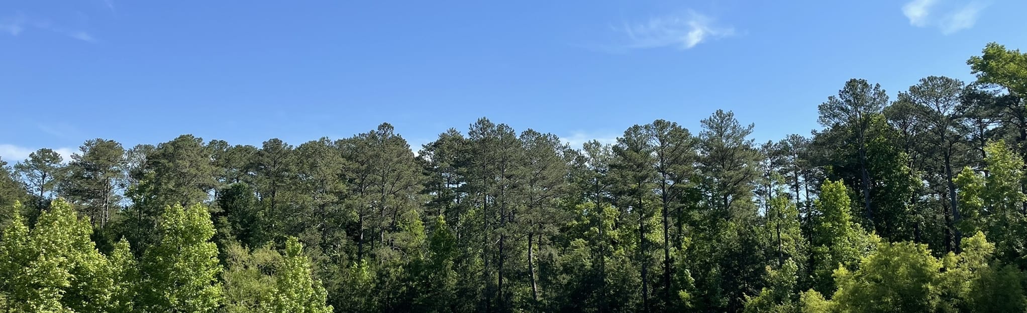 Pig Trail, Georgia - 368 Reviews, Map | AllTrails